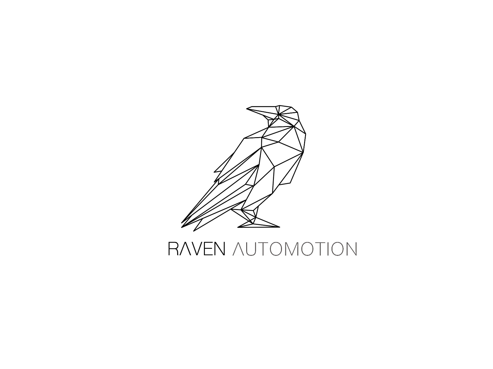 Raven Automotion